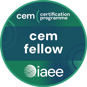 IAEE Launches CEM Fellows Program - IAEE